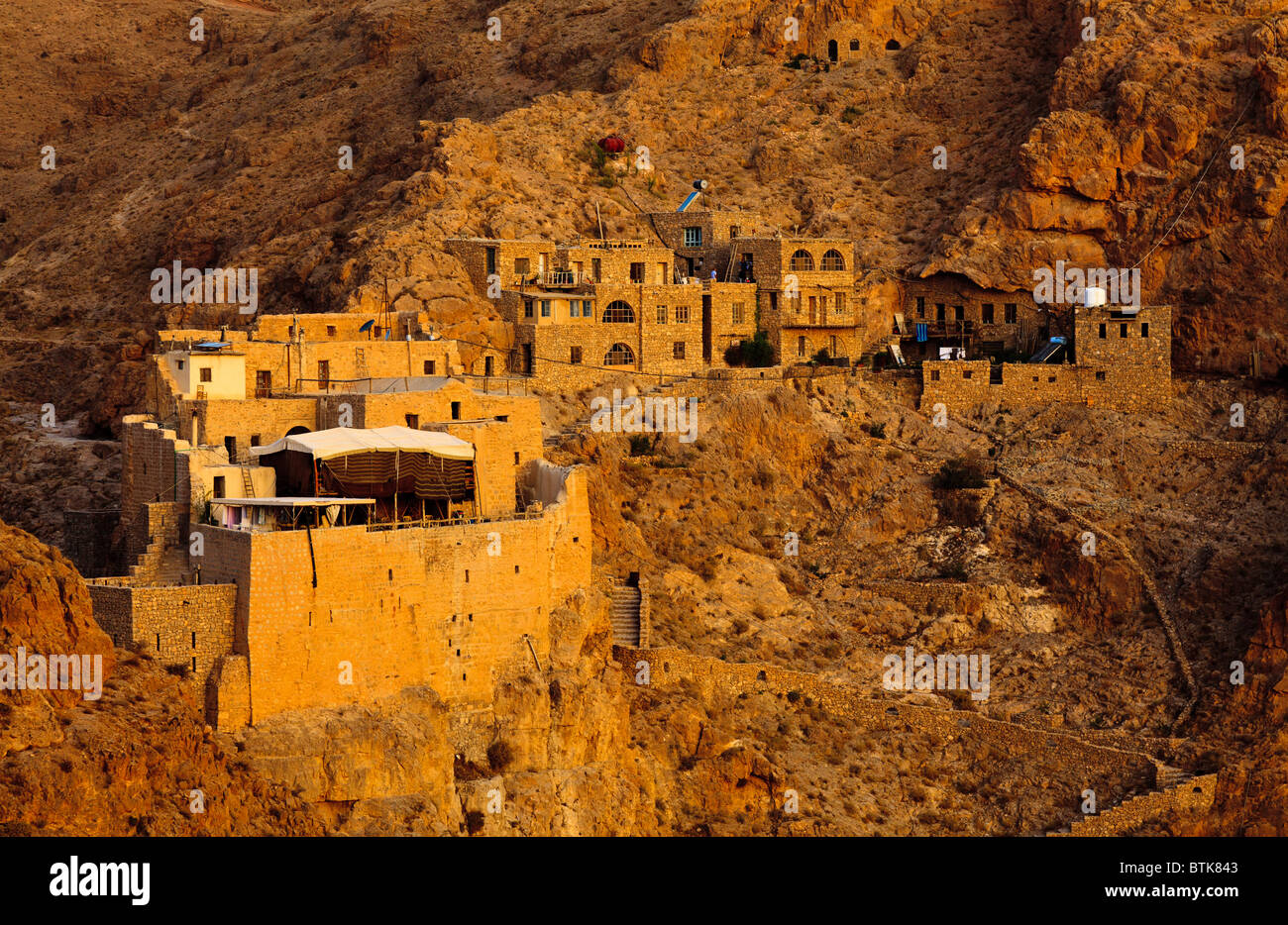 Musa hi-res stock photography and images - Alamy