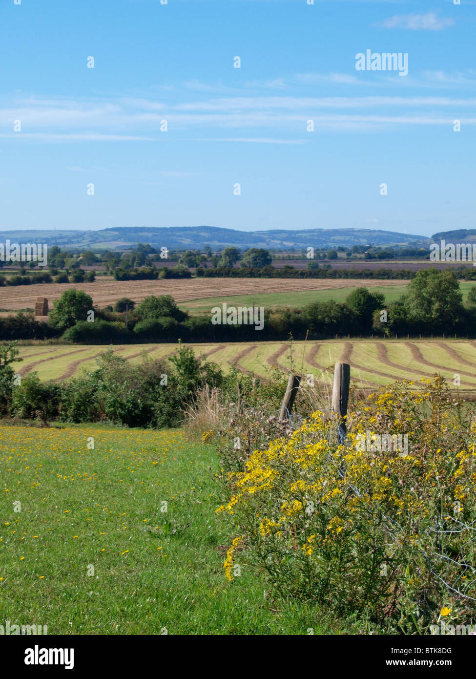 Worcestershire countryside hi-res stock photography and images - Alamy