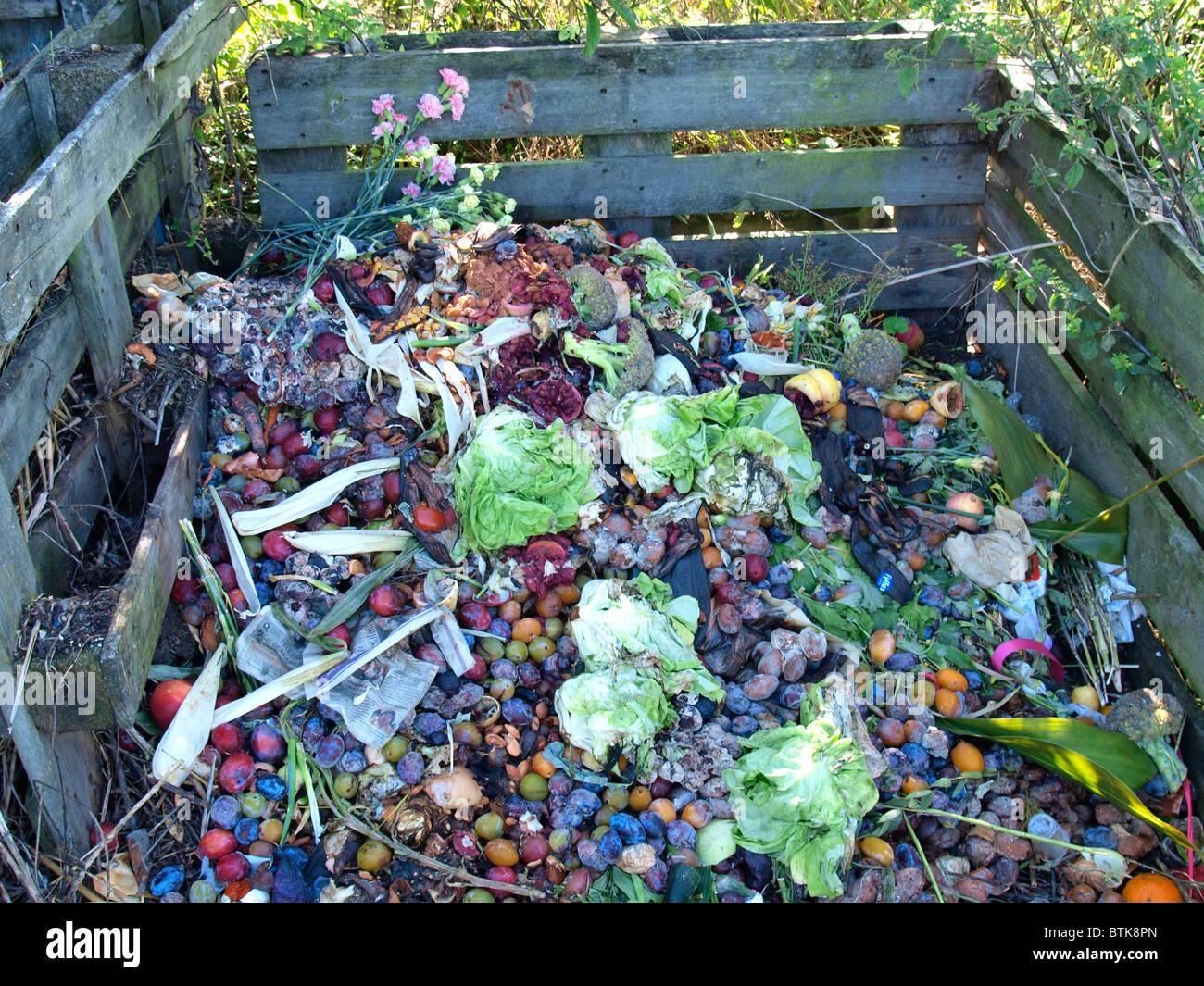 Compost heap, UK Stock Photo - Alamy
