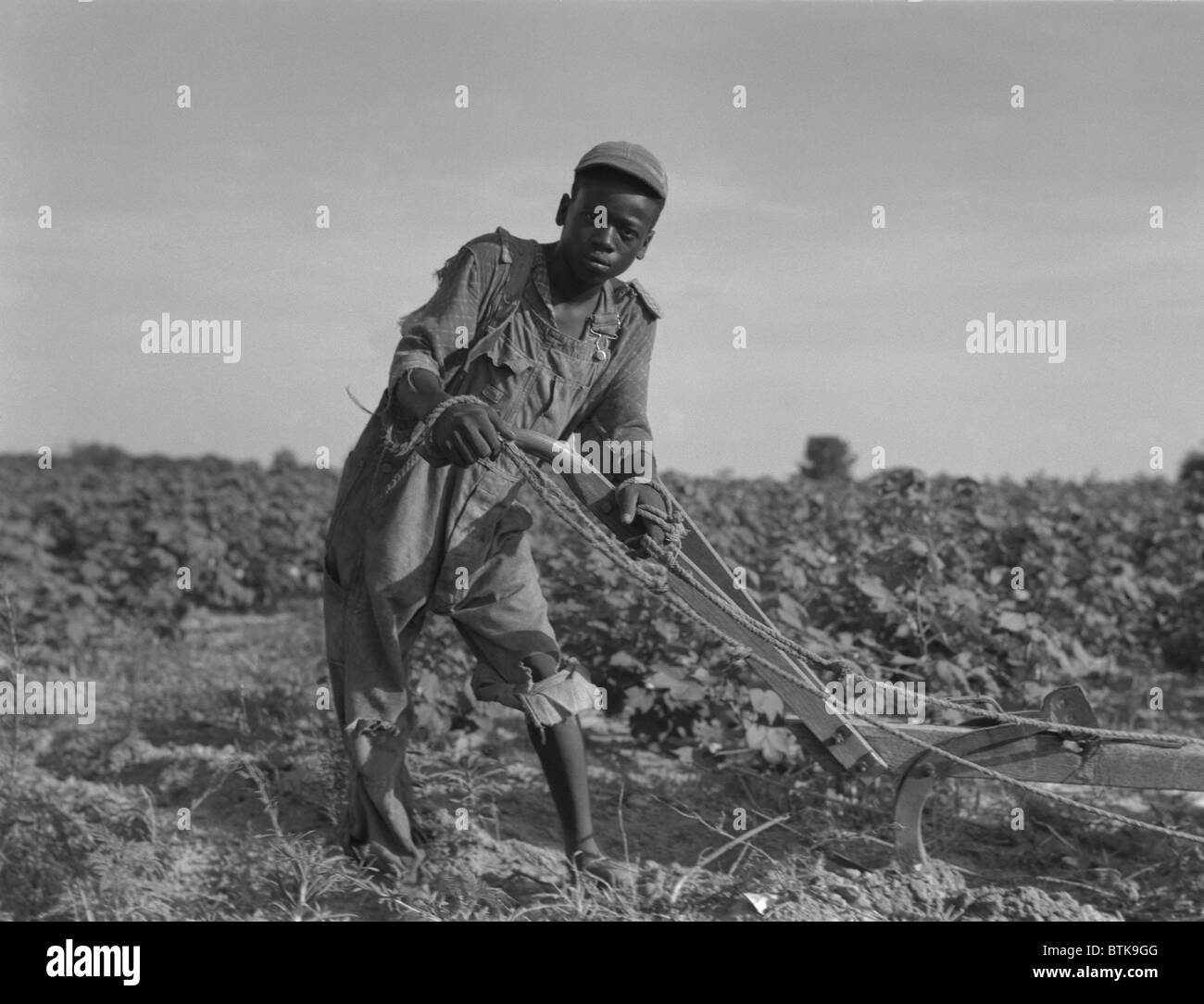 Thirteen-year old African American sharecropper boy plowing in July ...