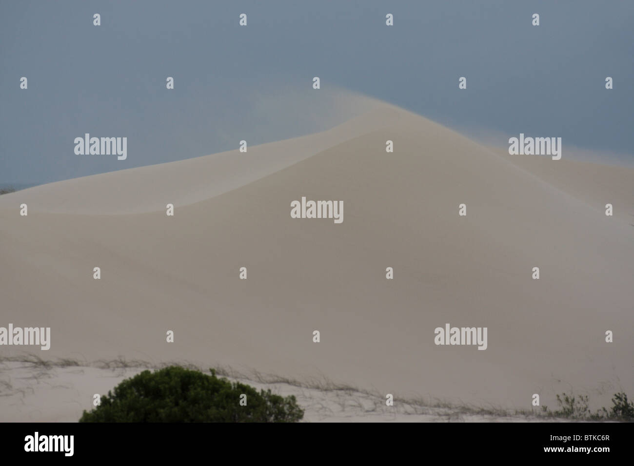 wind drift of sand dune Stock Photo - Alamy