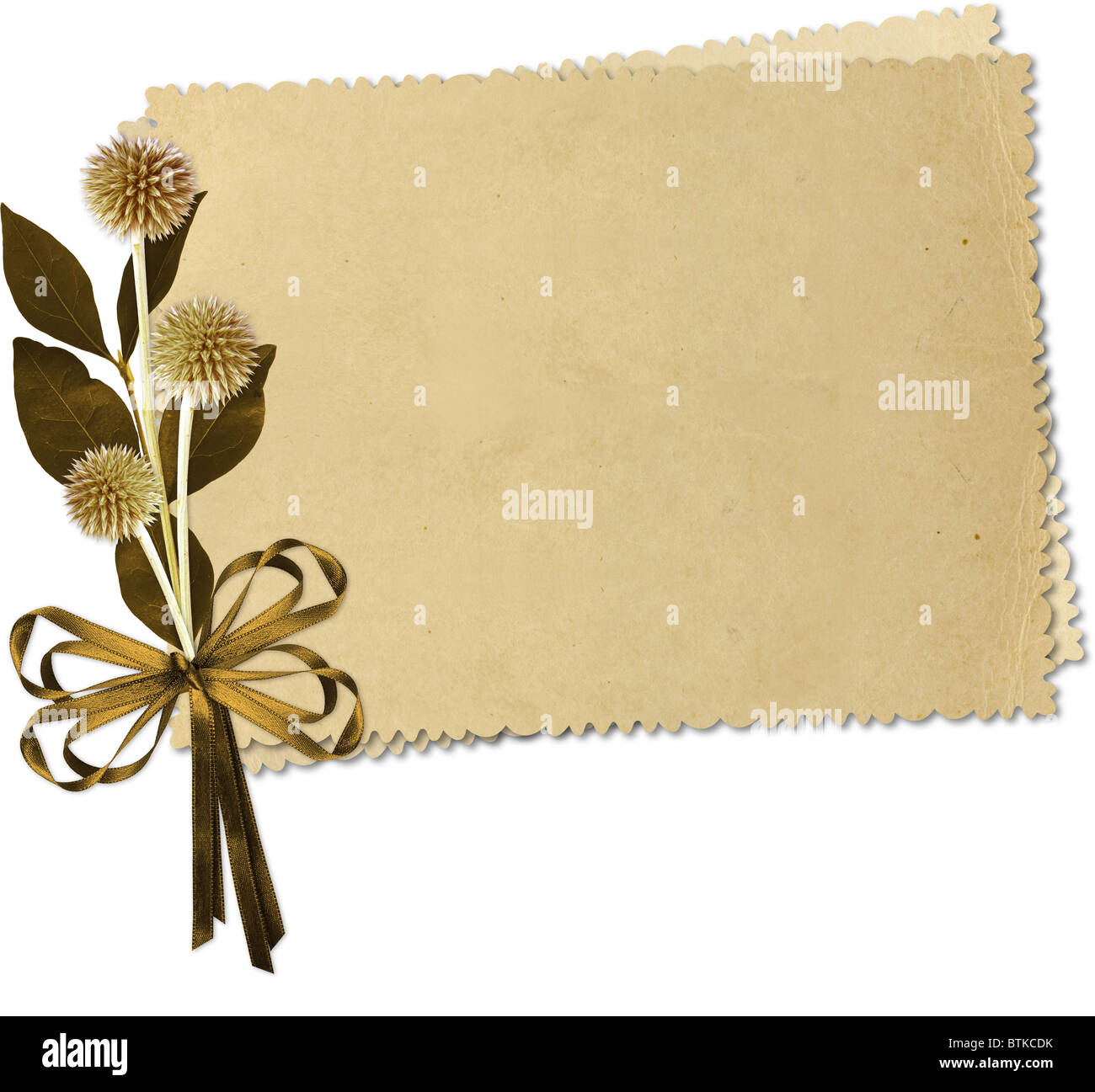 Old paper on white background Stock Photo - Alamy