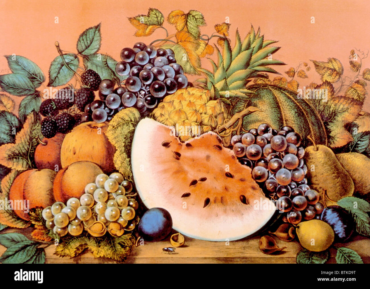 'Garden, Orchard and Vine,' Summer Furits, lithograph by Currier & Ives ...