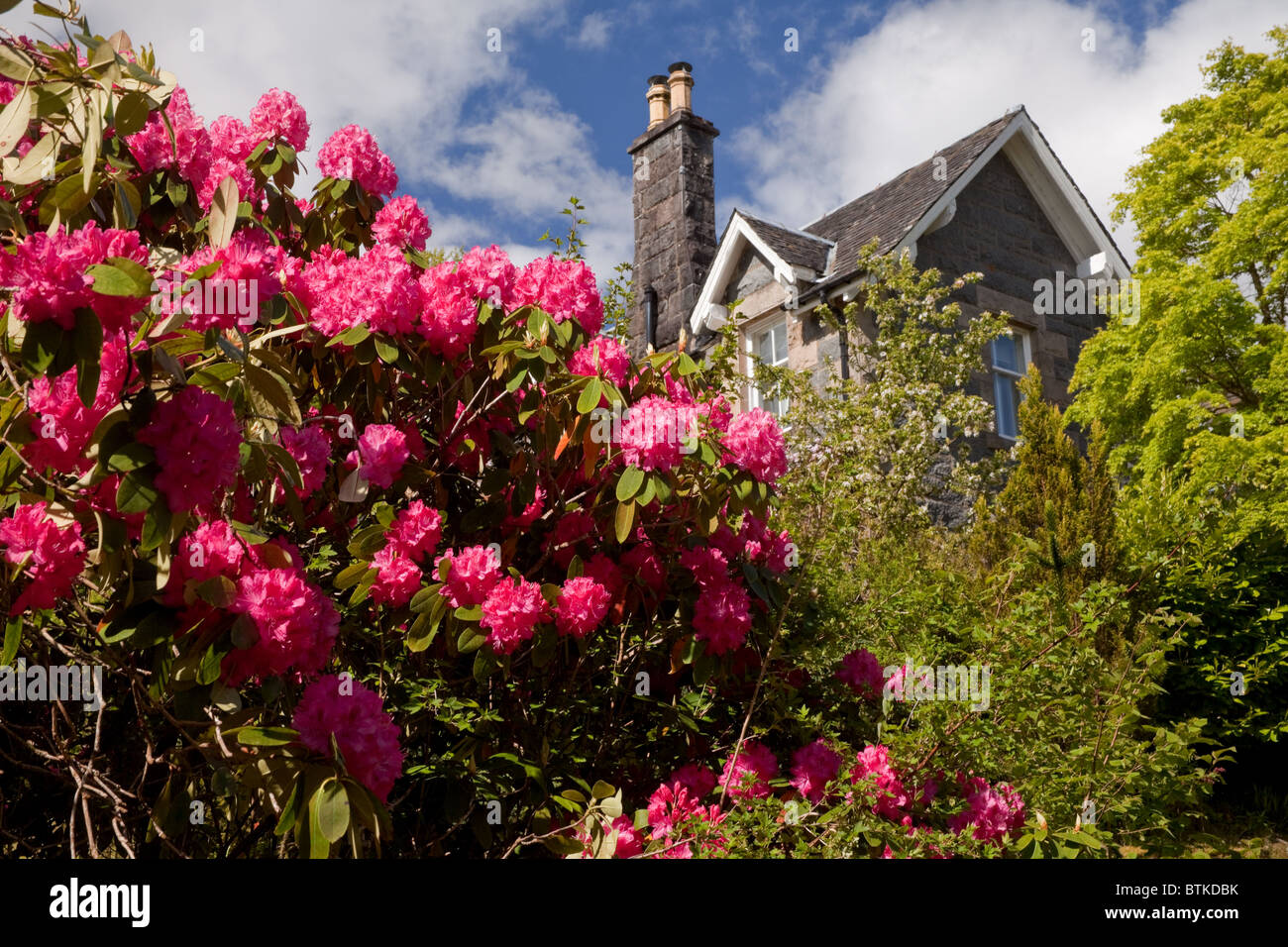 Rural scottish house with flowers hi-res stock photography and images ...