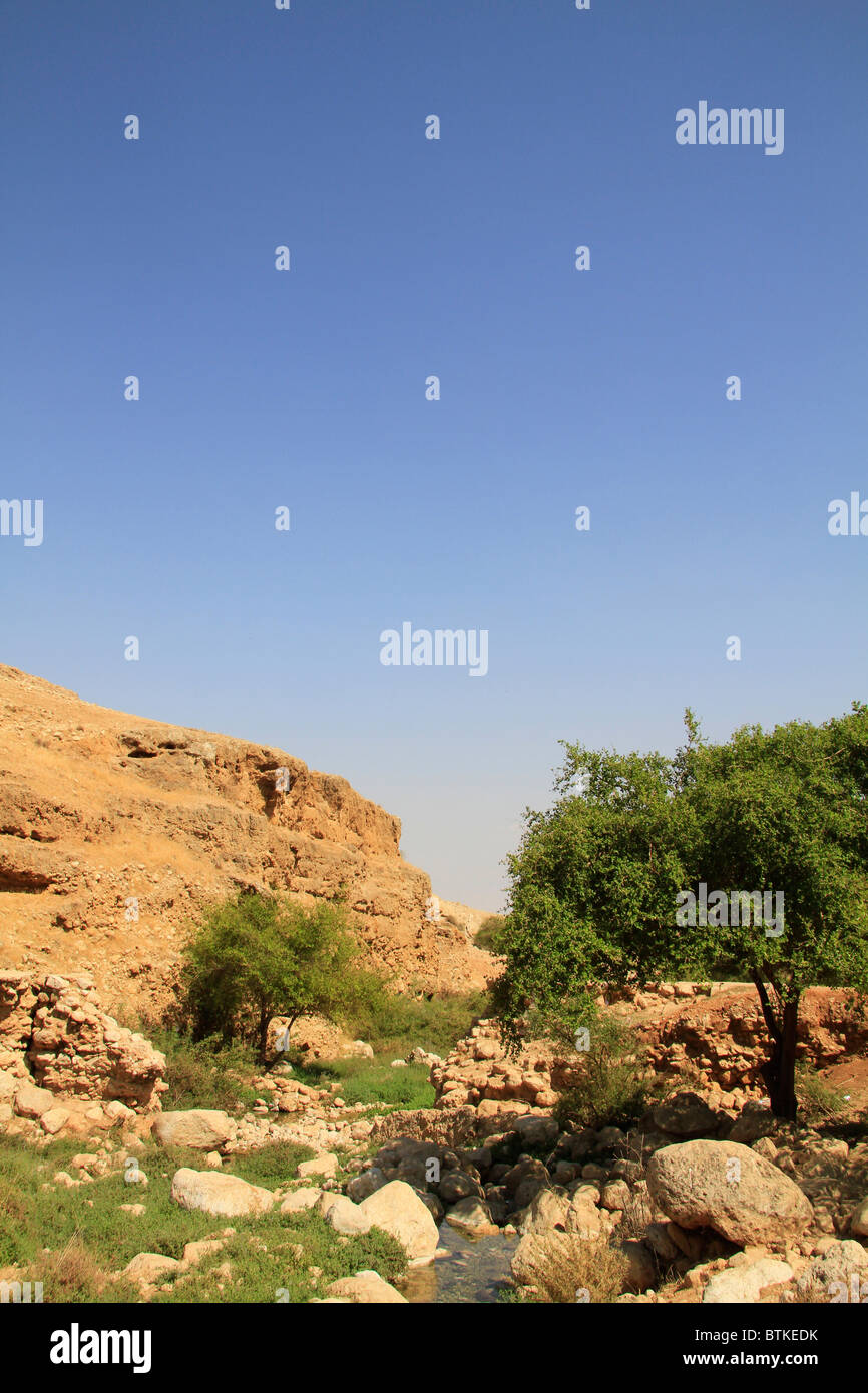 Jordan valley samaria desert hi-res stock photography and images - Alamy