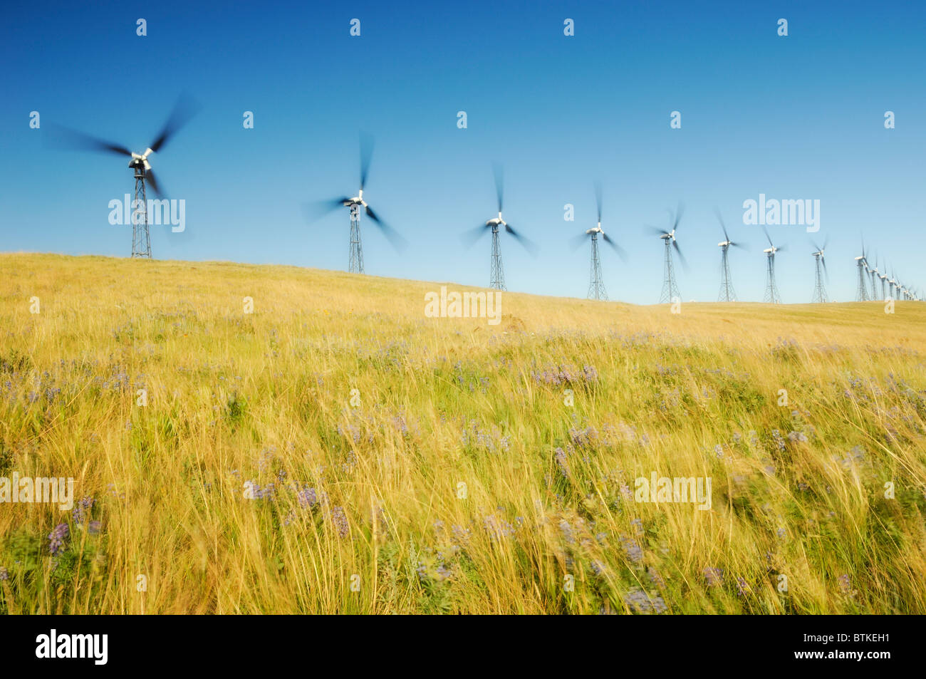 Alberta wind turbines hi-res stock photography and images - Alamy