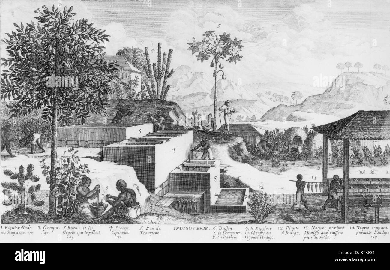 Caribbean Slavery Historical High Resolution Stock Photography and ...