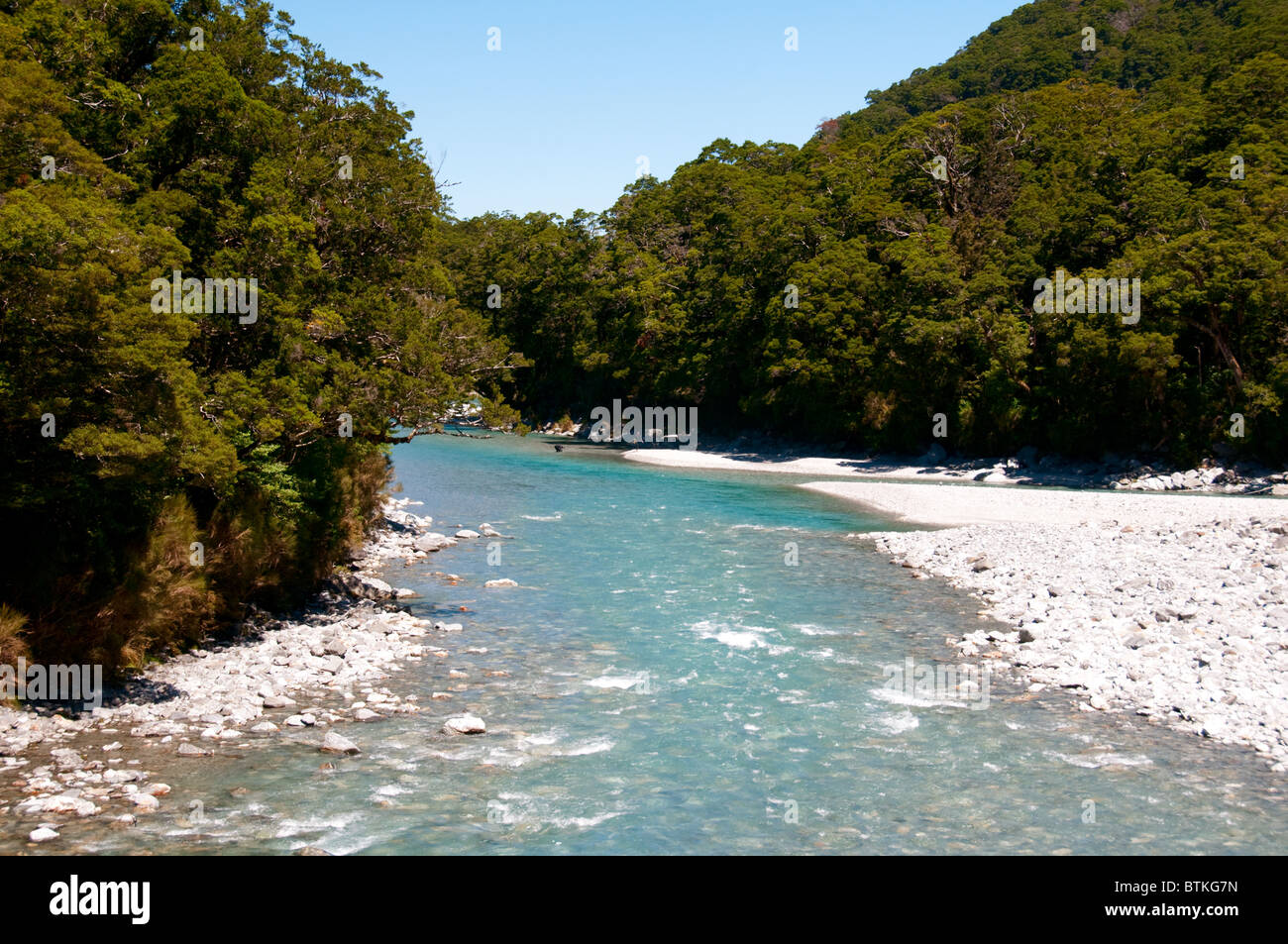 Roaring billy falls haast hi-res stock photography and images - Alamy