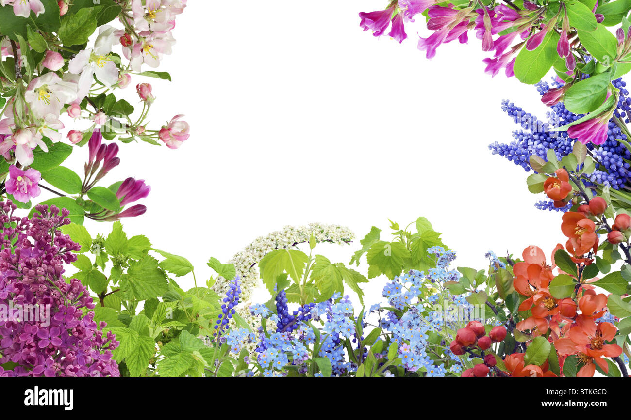 Spring May flowers mix Stock Photo - Alamy