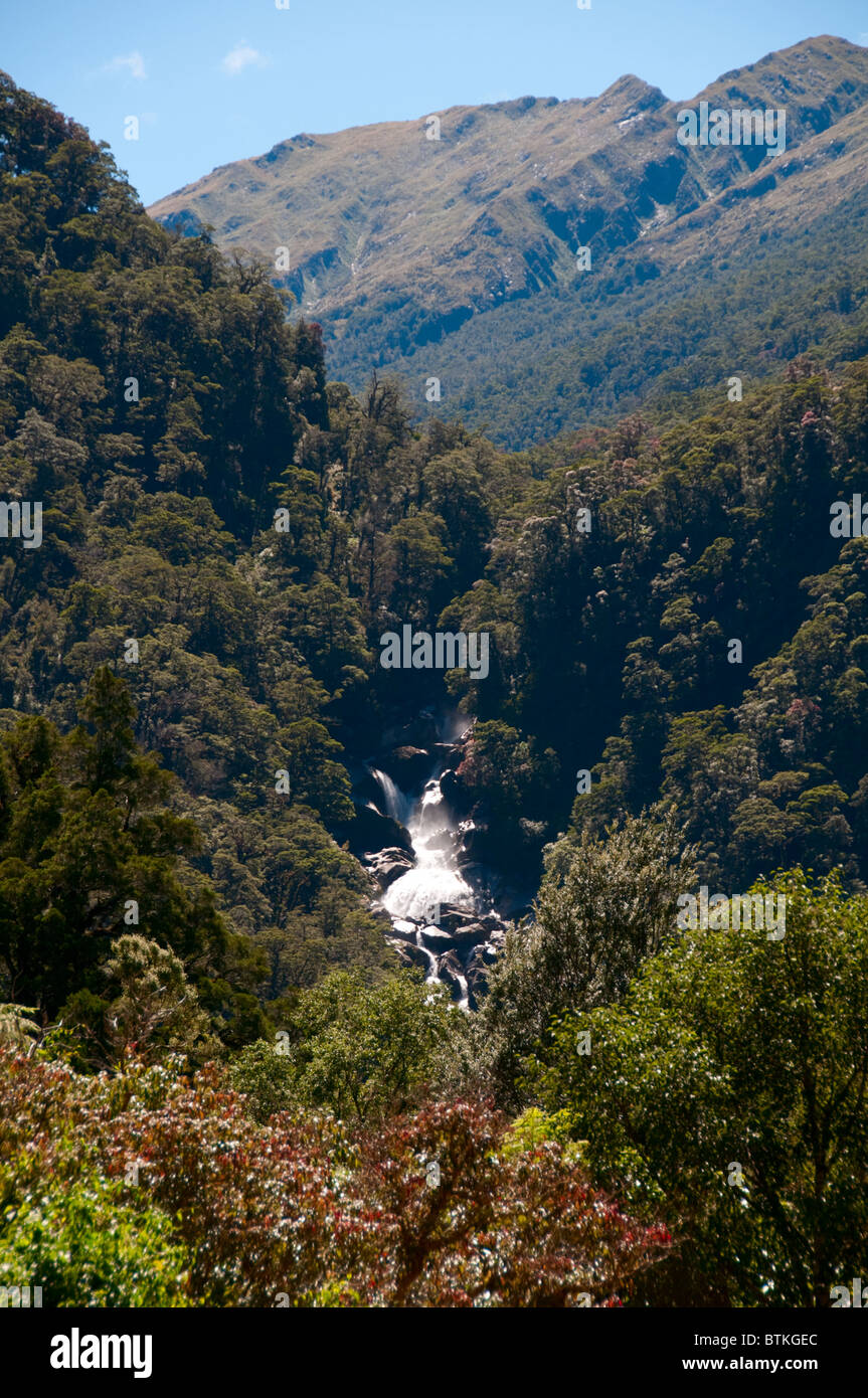Haast Pass,Haast River,Thunder Creek Falls,Southern Alps,Rata Trees in ...