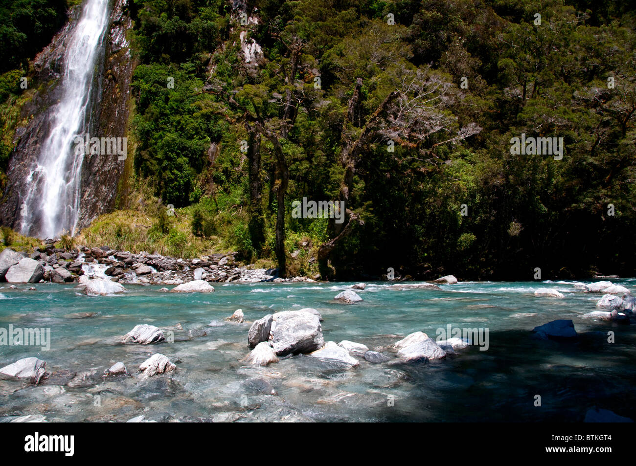 Haast Pass,Haast River,Billy Falls,Southern Alps,Rata Trees in Flower ...