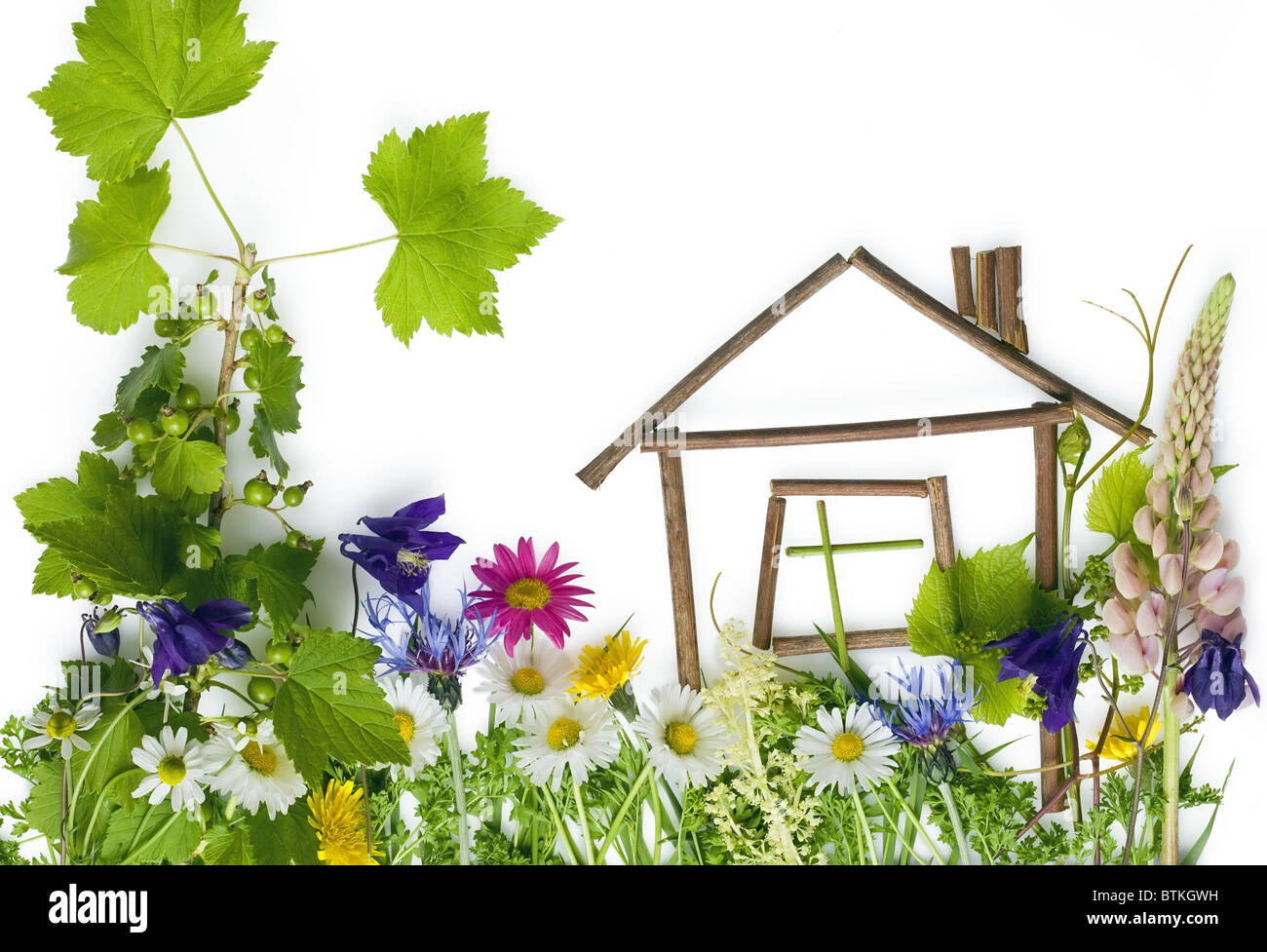The sweet green dream home Stock Photo - Alamy