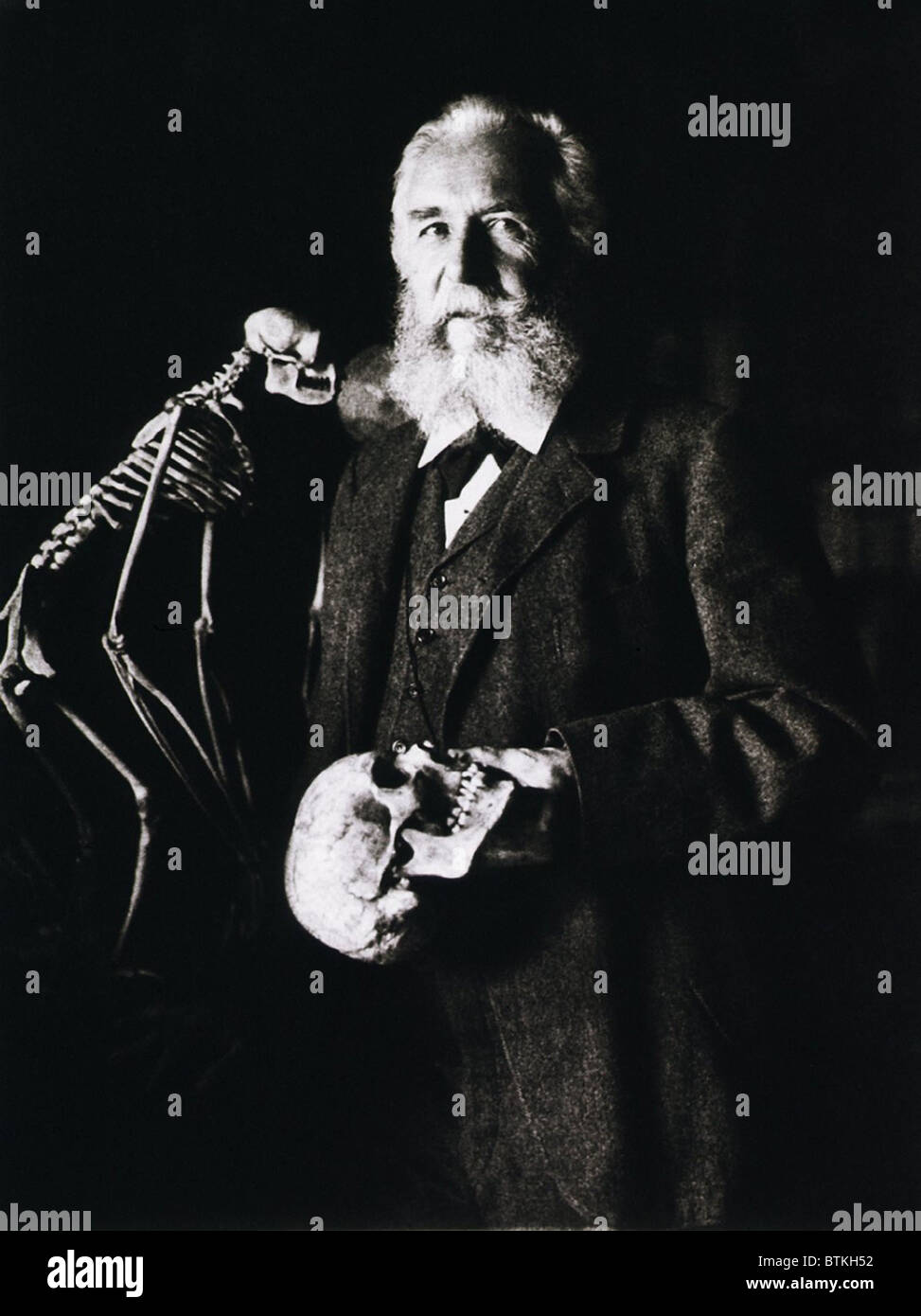 Monkey skeleton hi-res stock photography and images - Alamy