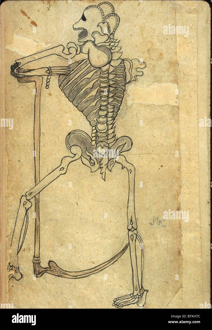 Human skeleton leaning on a pedestal drawn in ink and light-gray wash ...