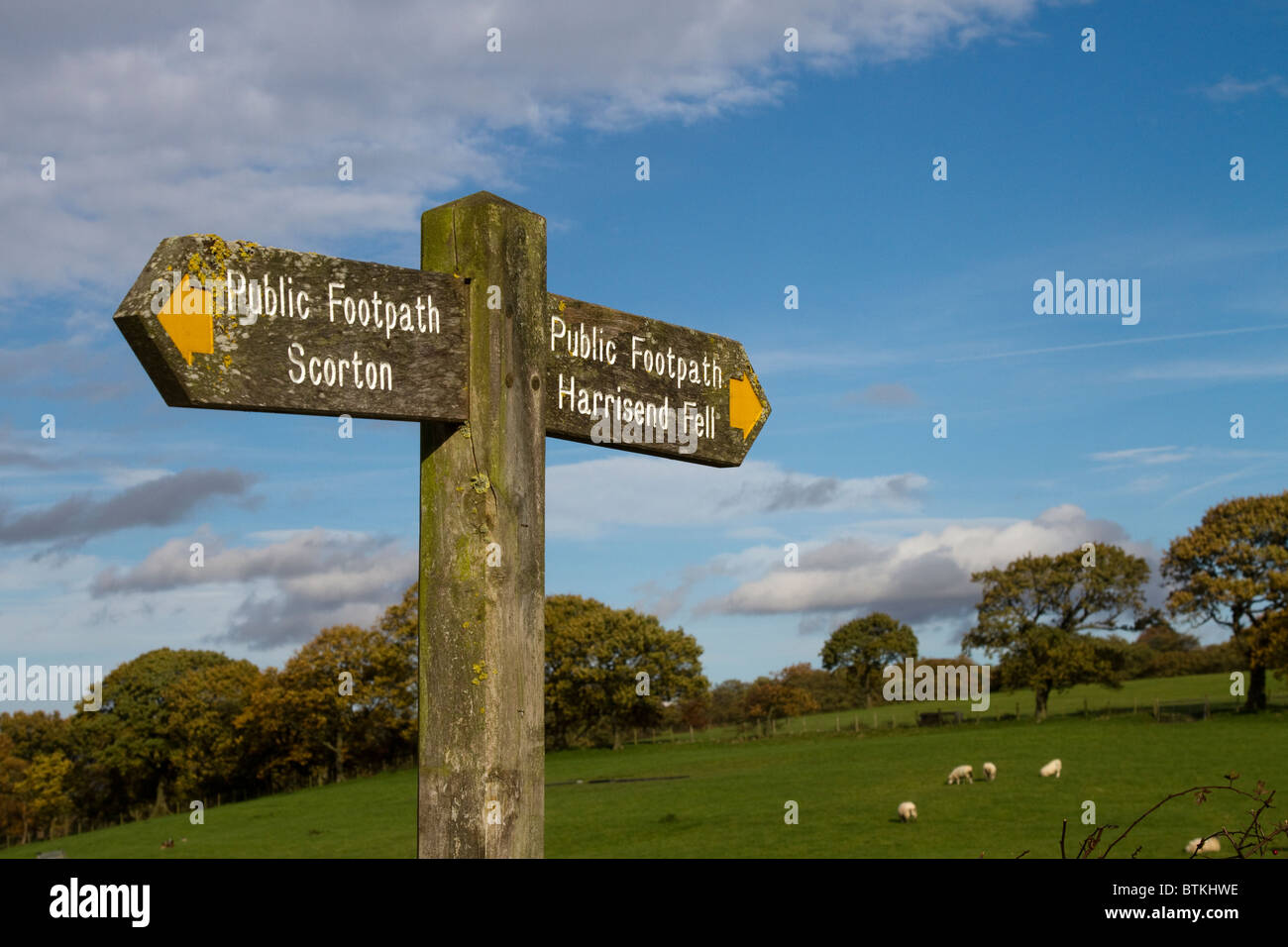 Sign signs tourist finger signs pointer indicate hi-res stock ...