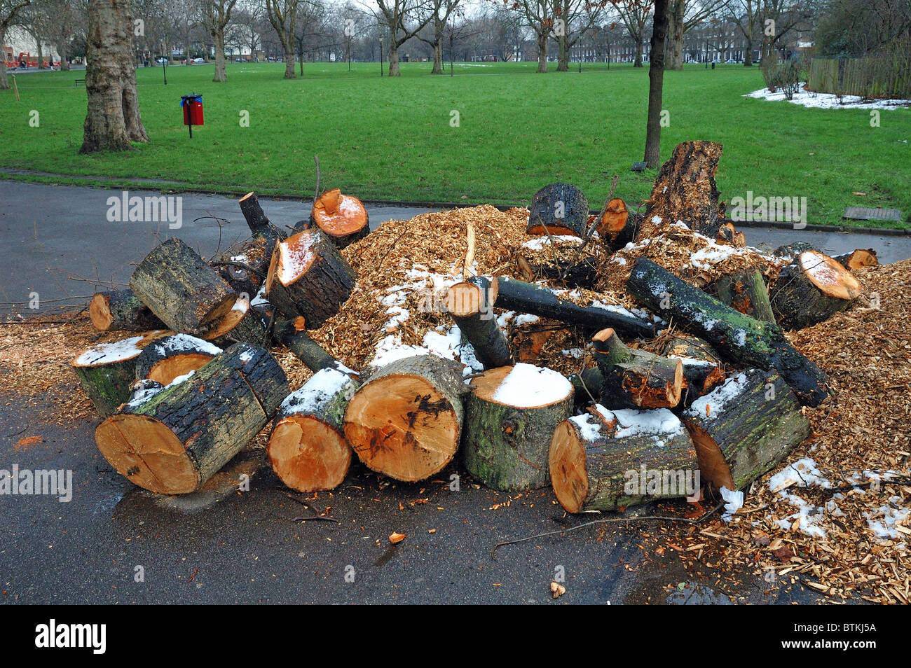 Logs with sawdust and snow on Highbury Fields London England UK Stock ...