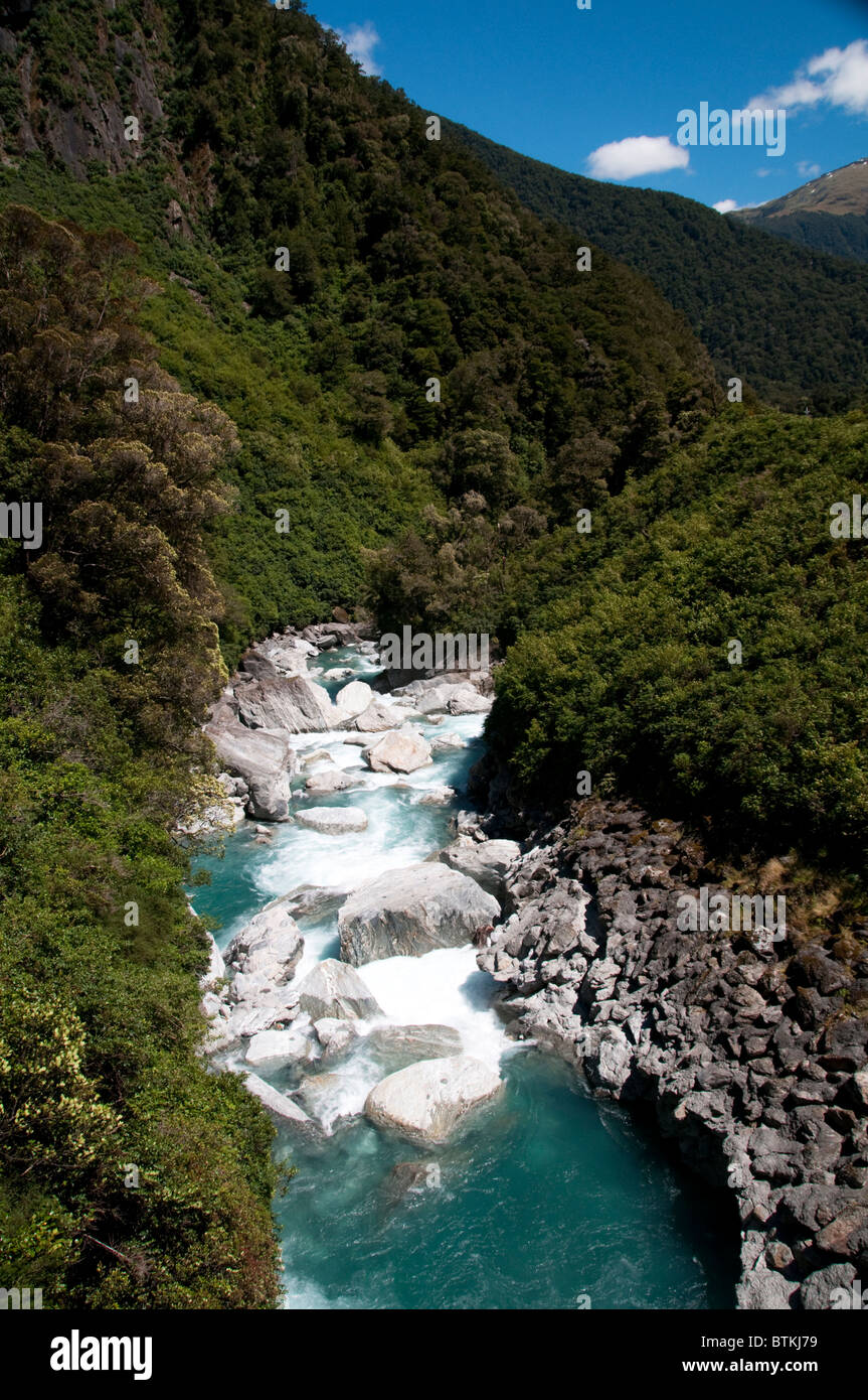 Rata trees flowering hi-res stock photography and images - Alamy
