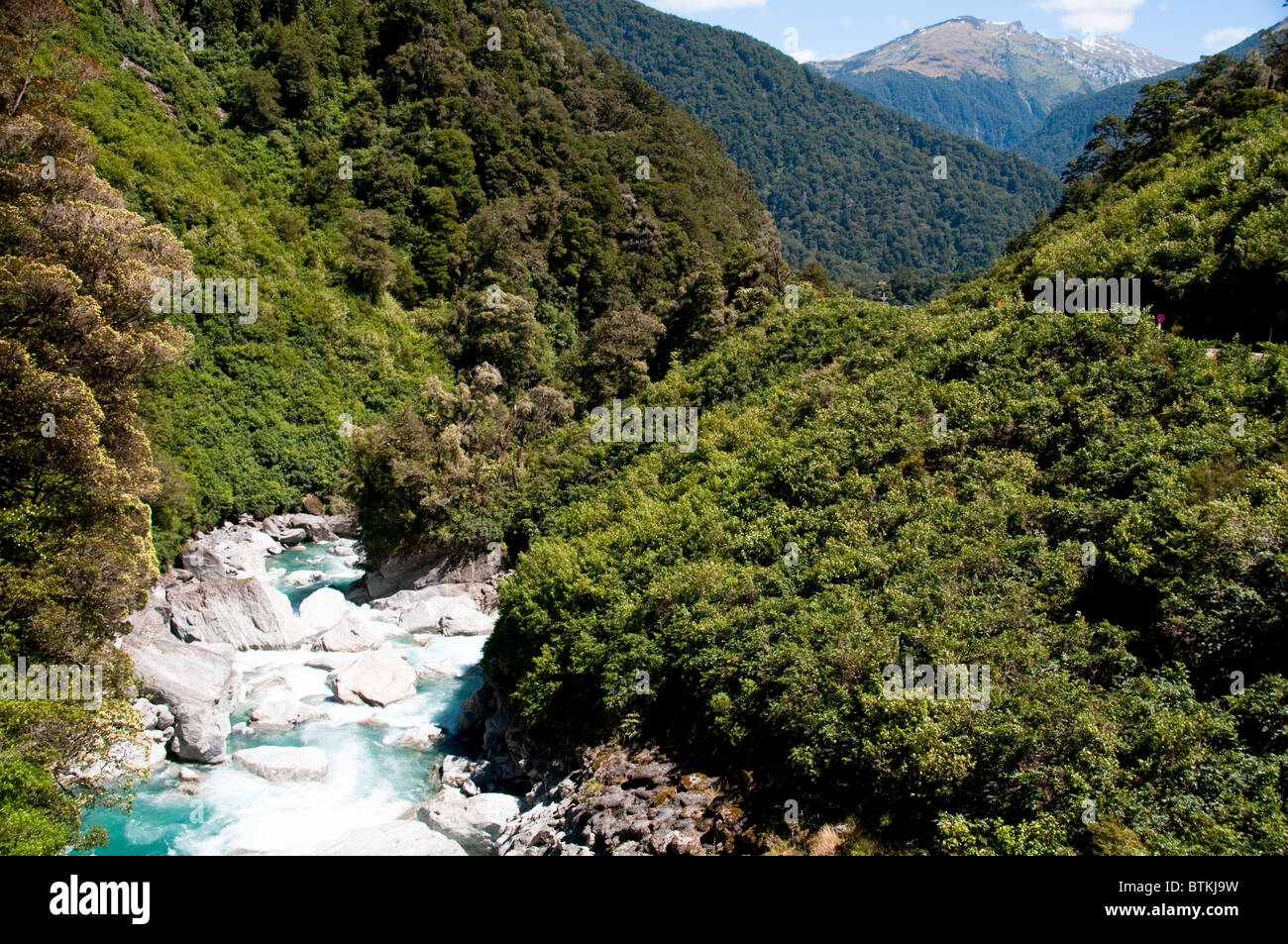 Haast Pass,Haast River,Southern Alps,Rata Trees in Flower,South Island ...