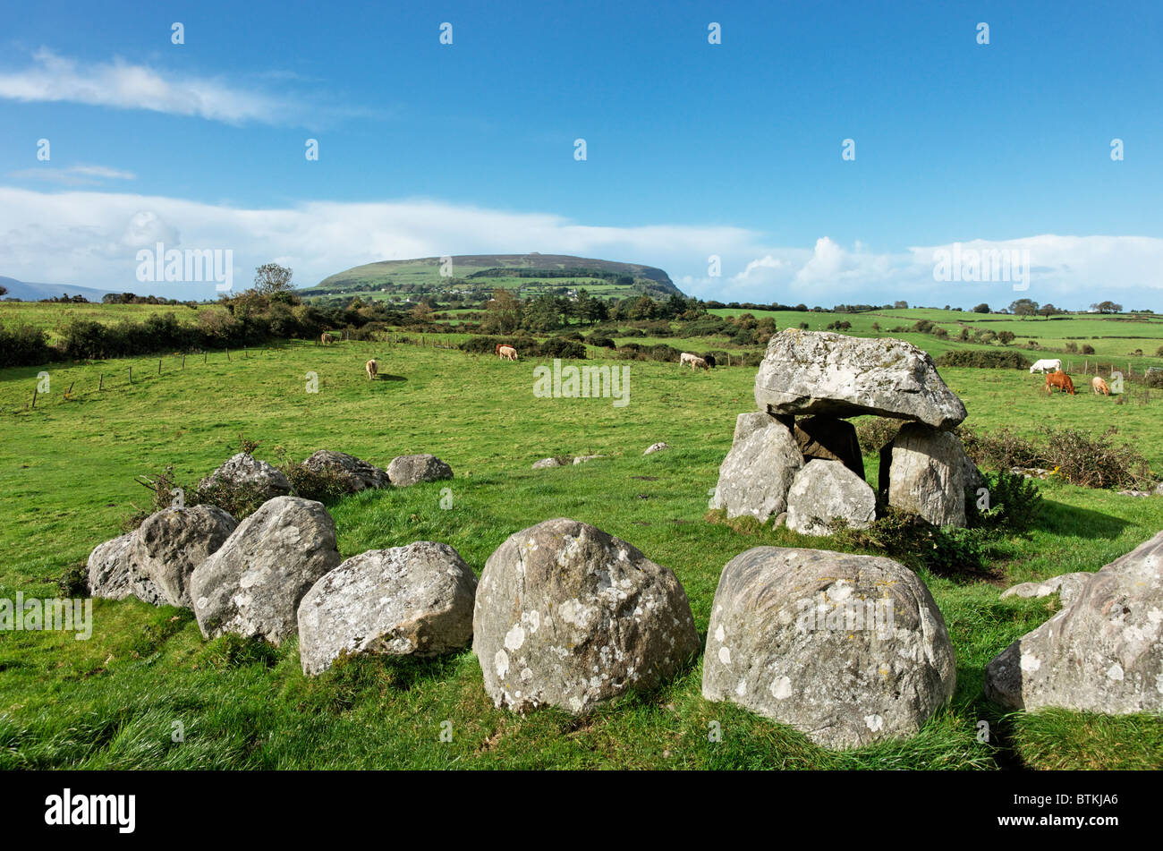 Tomb 7, a Dolmen with stone circle at the Carrowmore Megalithic ...