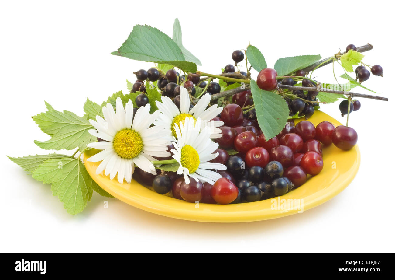 Ecological pure hi-res stock photography and images - Alamy