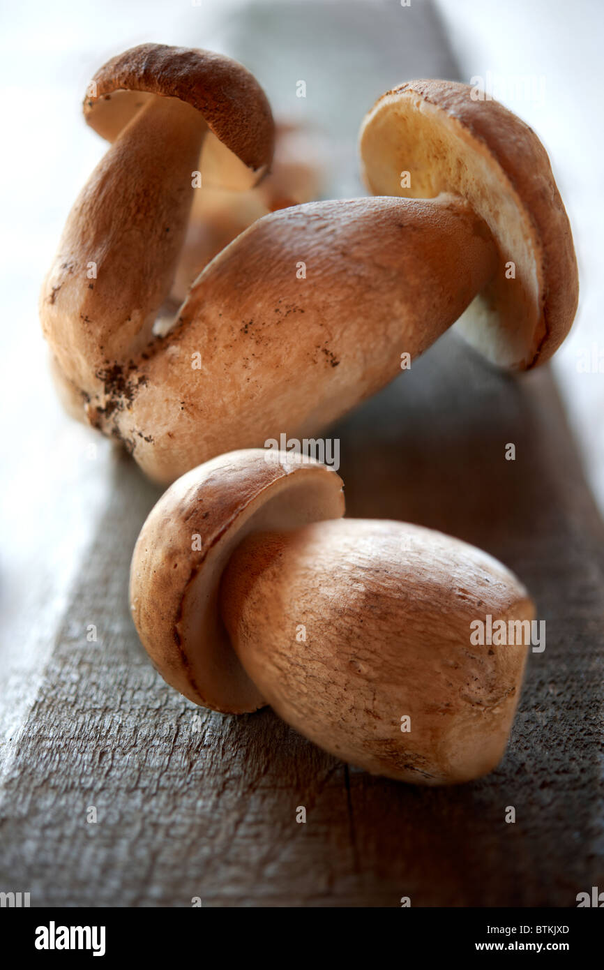 Whole fresh wild Ceps mushrooms Stock Photo - Alamy