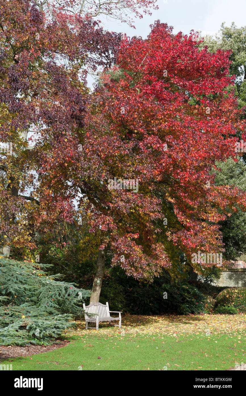 English fall foliage hi-res stock photography and images - Alamy