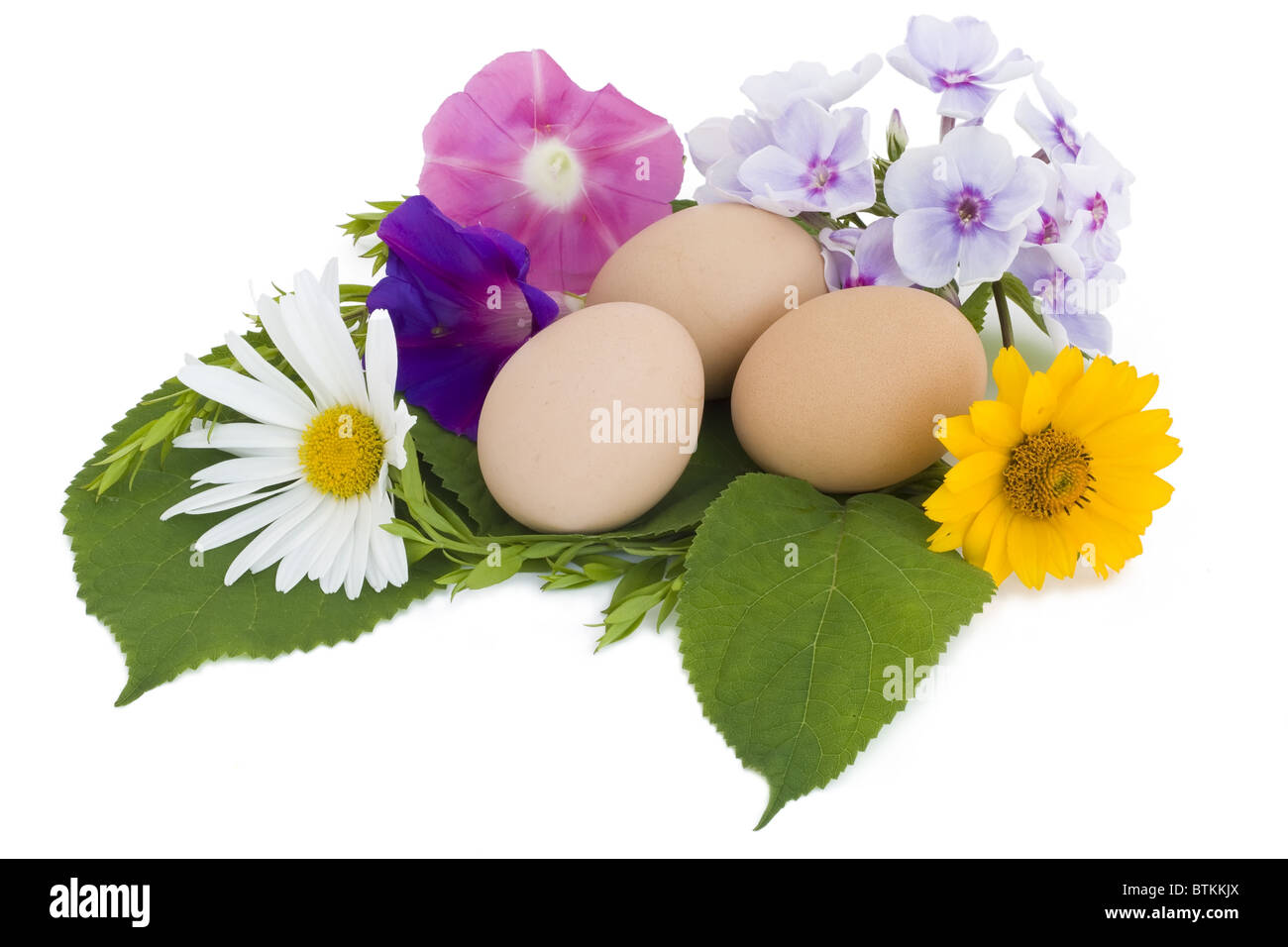 Easter eggs in twig Cut Out Stock Images & Pictures - Alamy