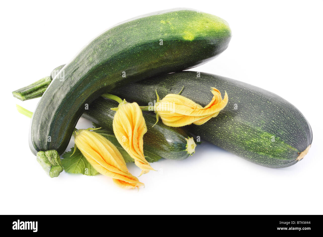 Green vegetable marrows Stock Photo - Alamy