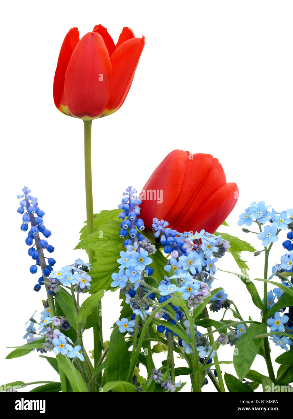 Design for spring and flowers hi-res stock photography and images - Alamy