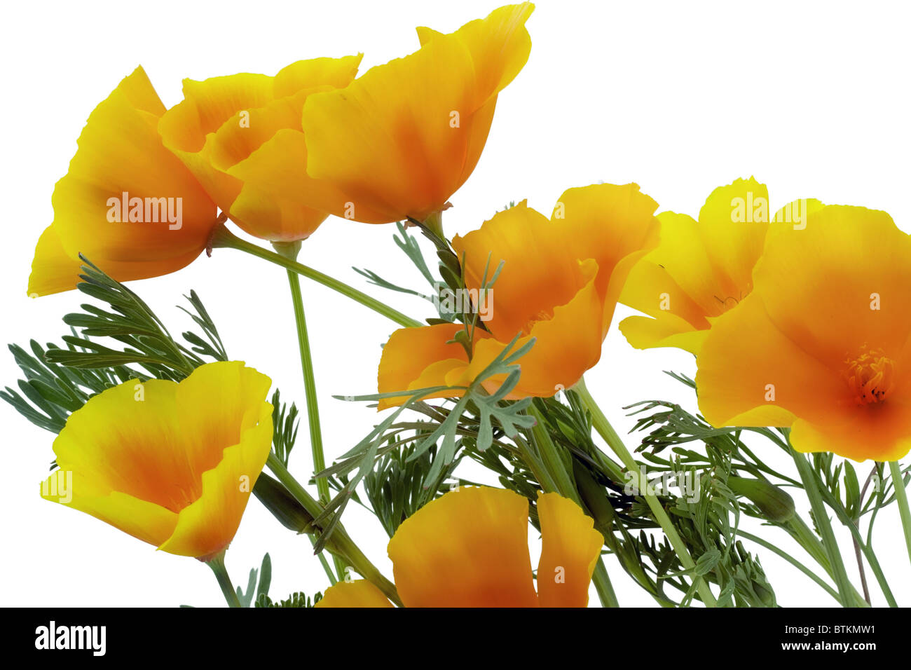 Spark concept hi-res stock photography and images - Alamy