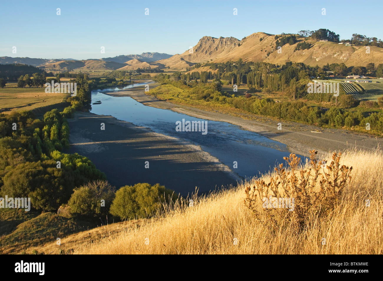 Elk195-2782 New Zealand North Island Temata Peak Stock Photo - Alamy