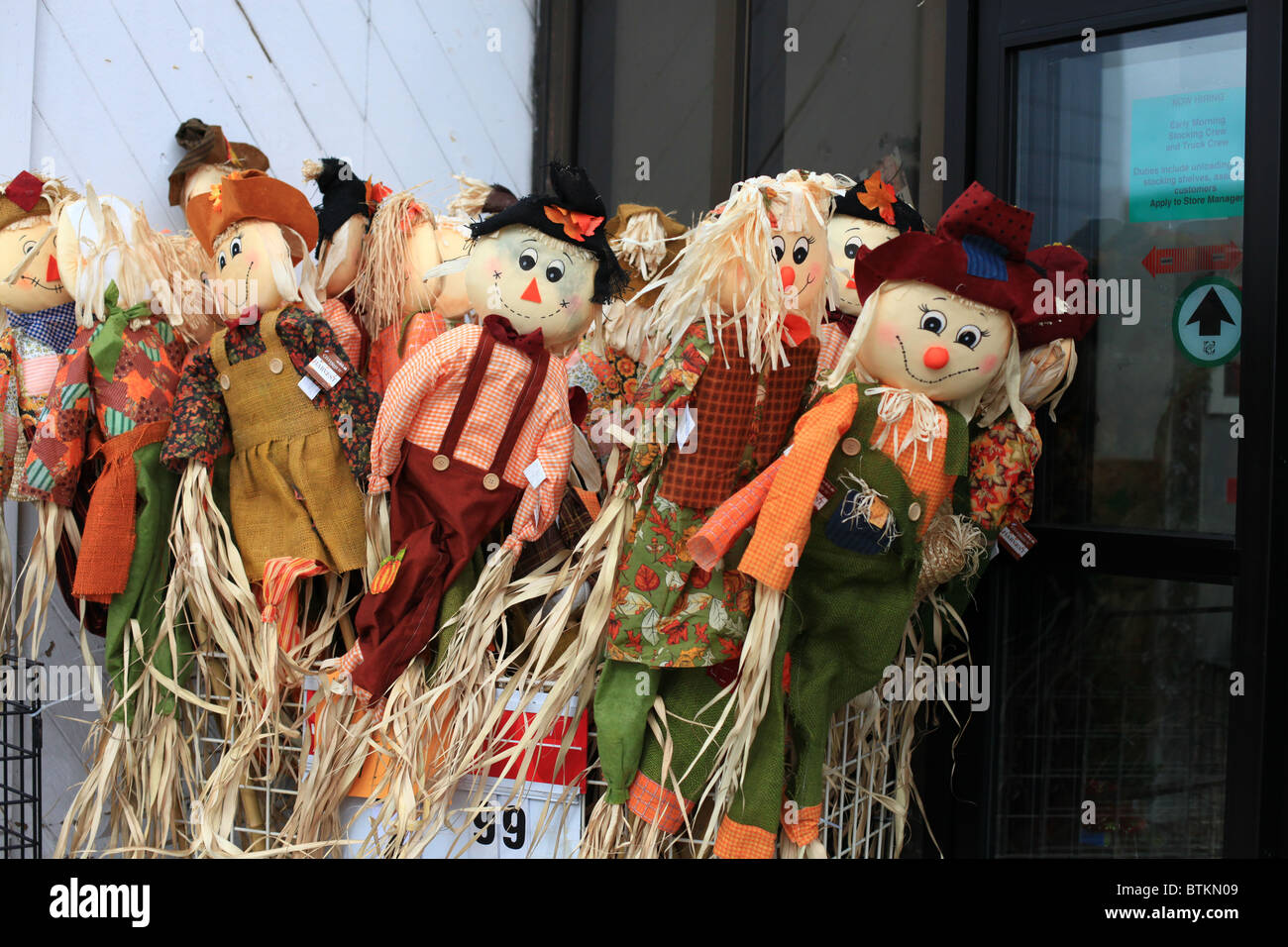 Scarecrows ready for Halloween Stock Photo - Alamy