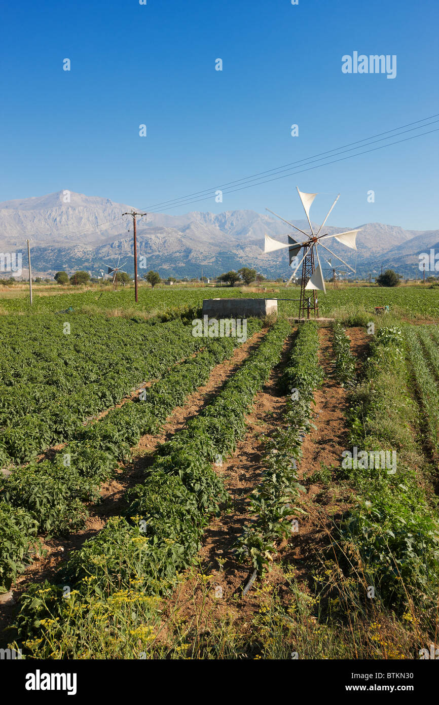 Lasithi Plateau High Resolution Stock Photography and Images - Alamy
