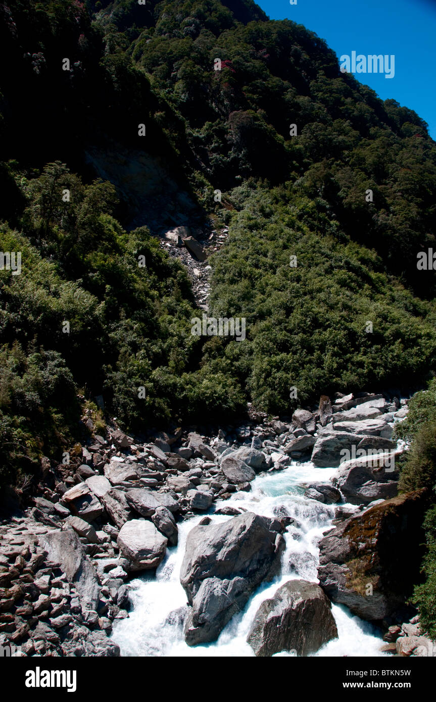 Haast Pass,Haast River,Southern Alps,Rata Trees in Flower,South Island ...