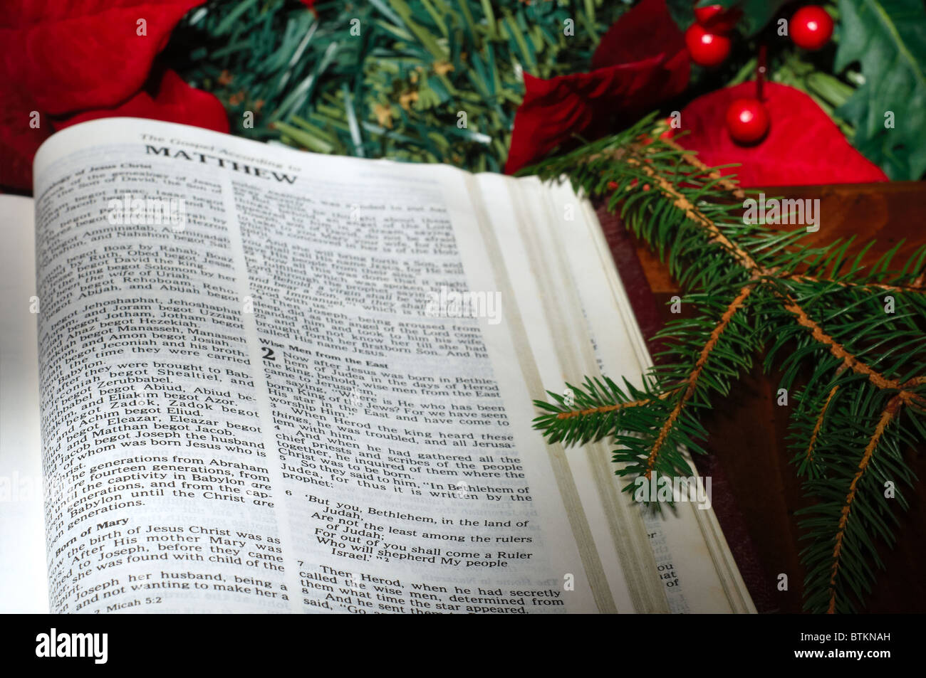Bible open to the Christmas narrative in Matthew with poinsettias and ...