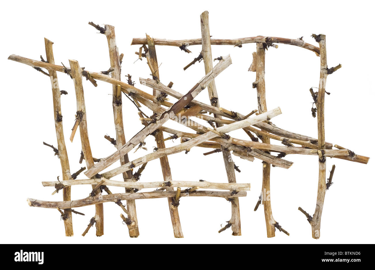 Texture of dry branches of a raspberry Stock Photo - Alamy