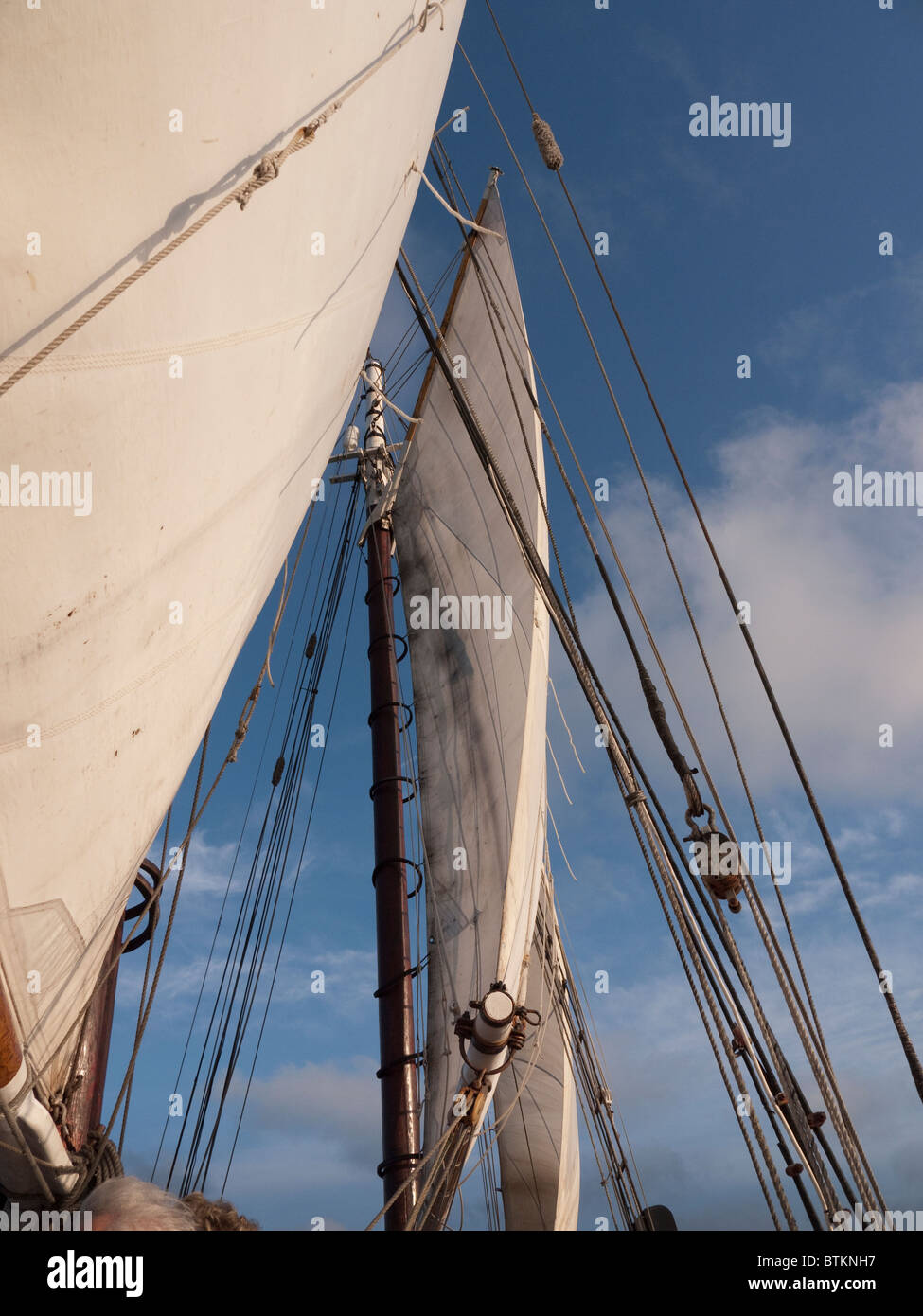 Sailing Ship the Schooner Appledore off Key West in Florida USA Stock ...