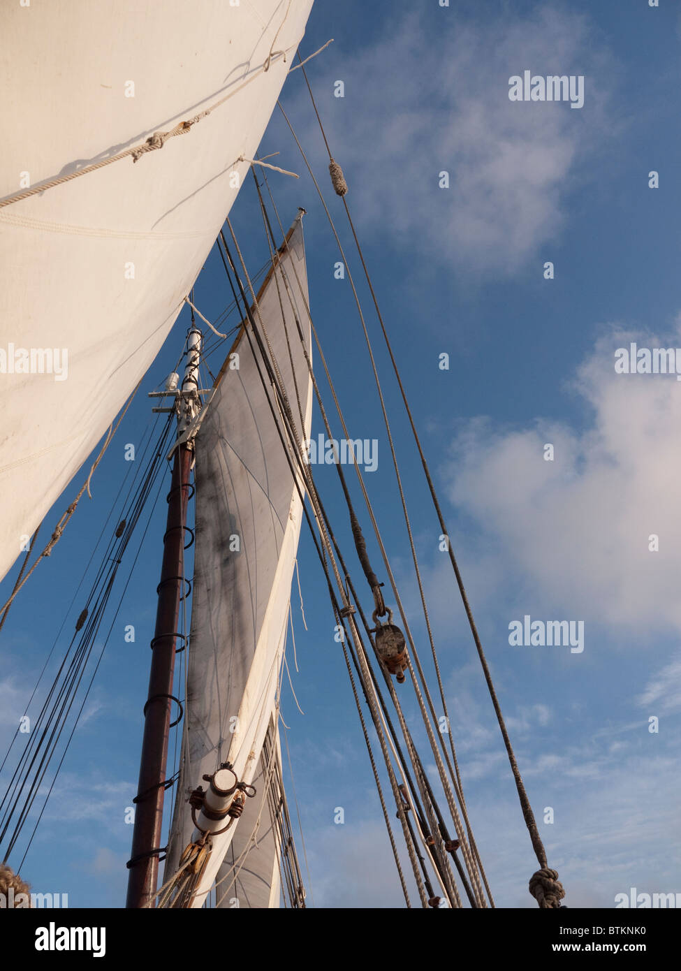 Sailing Ship the Schooner Appledore off Key West in Florida USA Stock ...