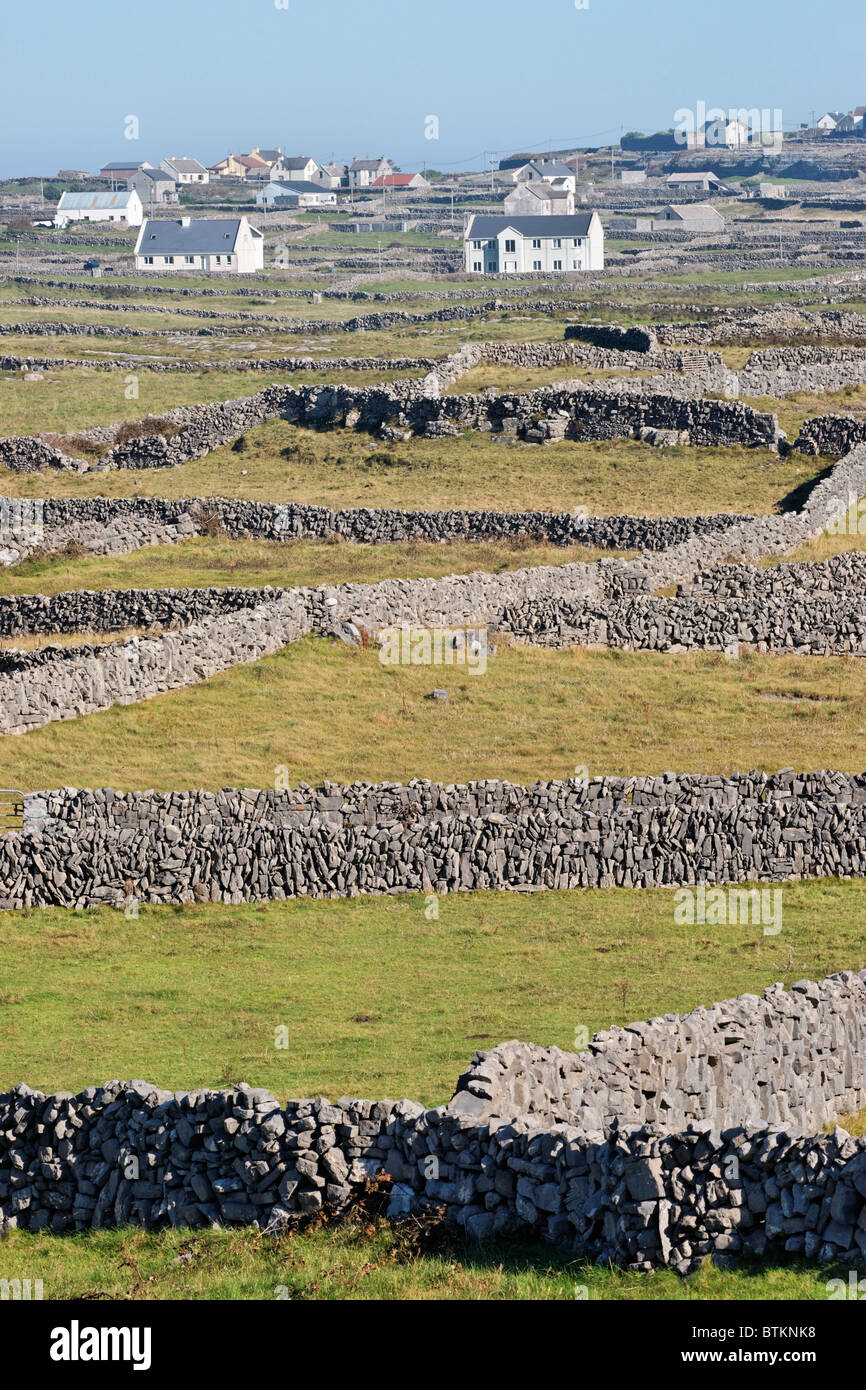 The dry-stone walls and fields of Inishmore, Aran Islands, County ...