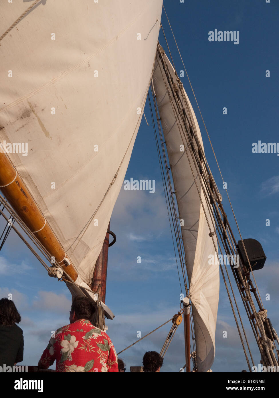 Sailing Ship the Schooner Appledore off Key West in Florida USA Stock ...