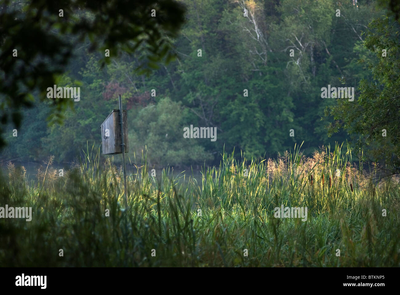 Royal botanical gardens canada hi-res stock photography and images - Alamy