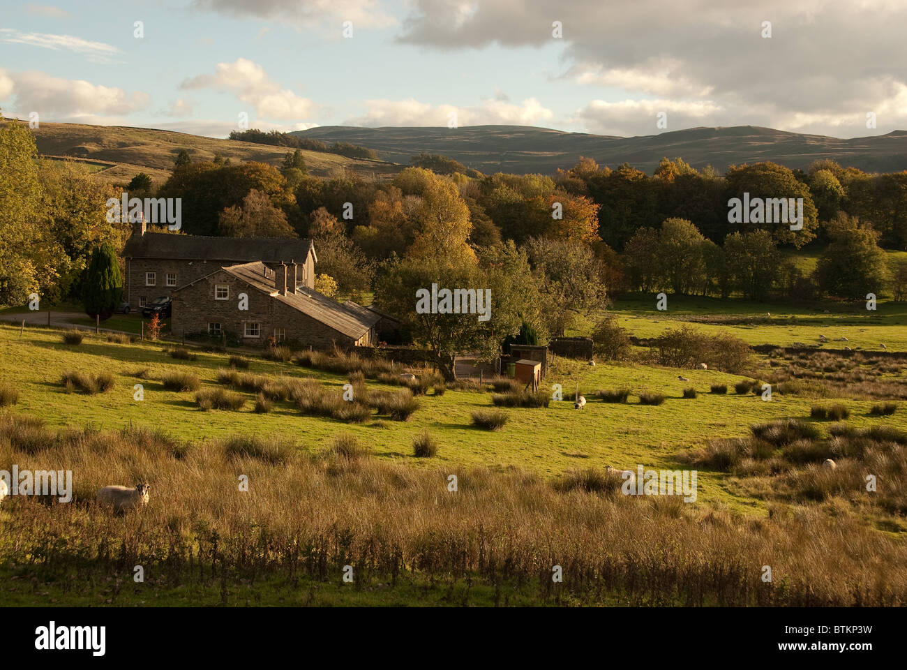 Cumbrian countryside farm hi-res stock photography and images - Alamy