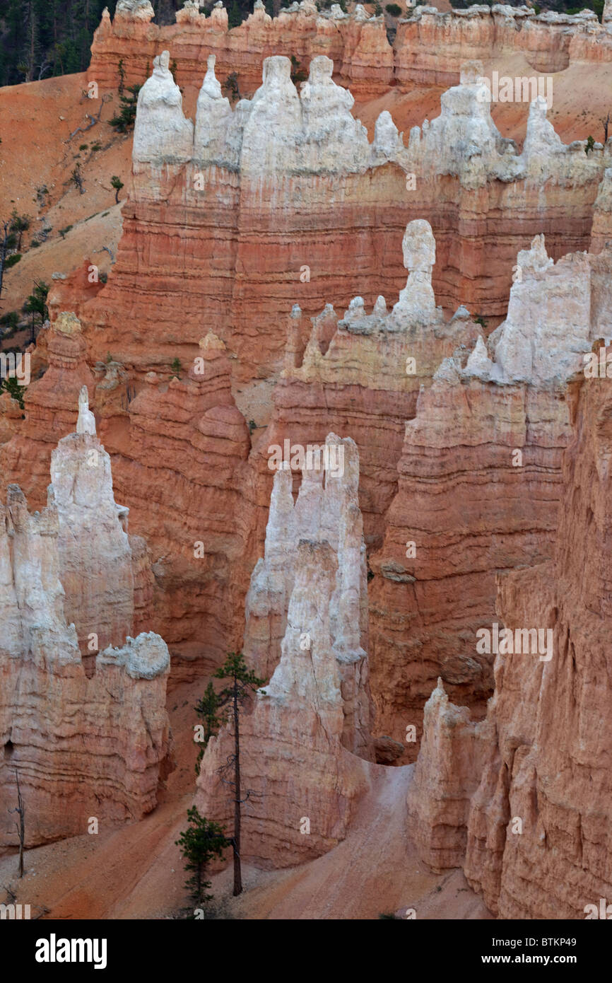 Bryce Canyon National Park - Utah - "Hoodoos" - "Hoodoos" are pillars ...