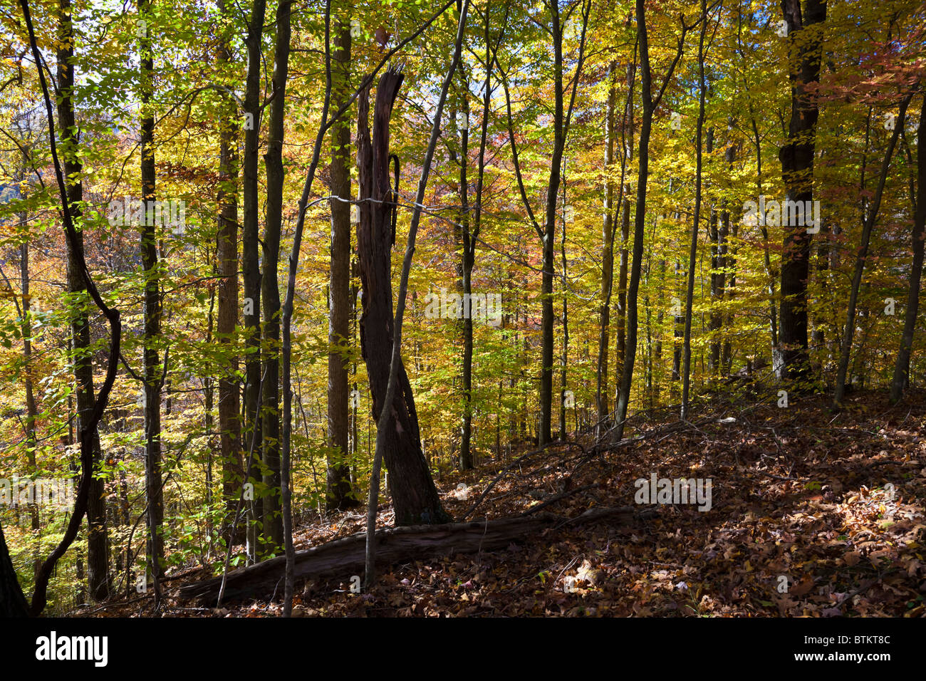 Spring in west virginia hi-res stock photography and images - Alamy
