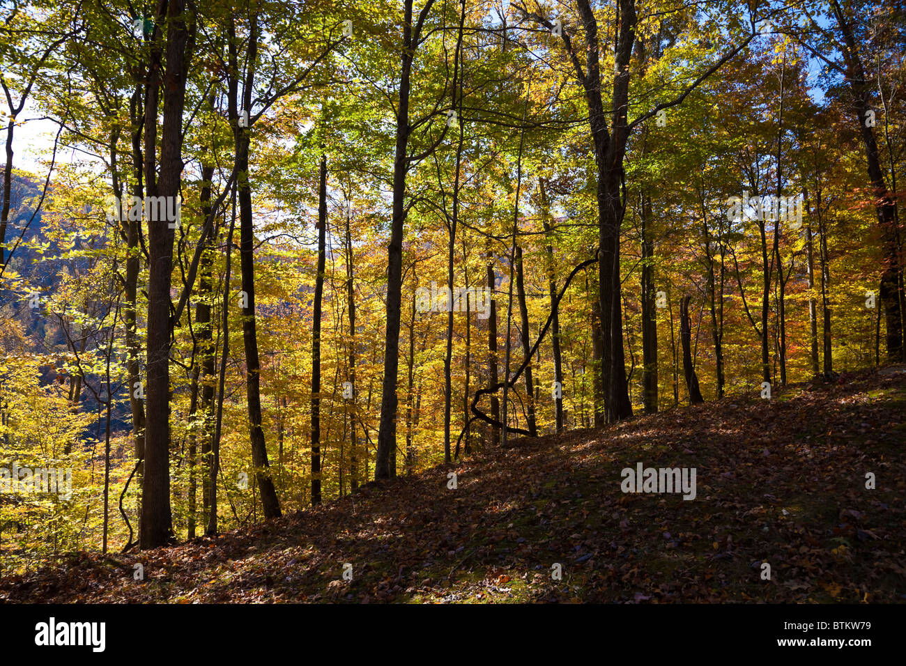 Spring in west virginia hi-res stock photography and images - Alamy