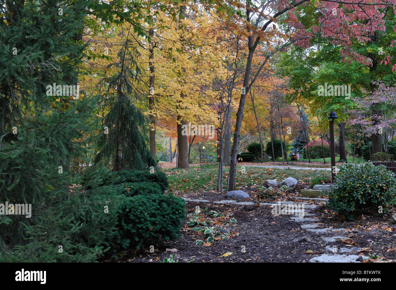 Fall scene, fall colors, rural setting, cloudy day, residential garden ...