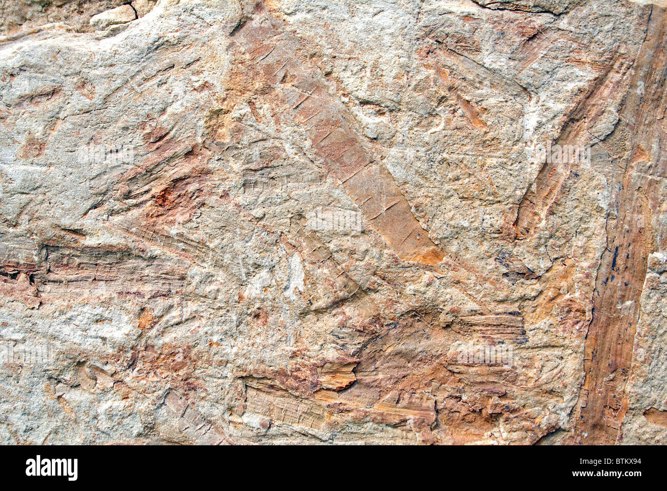 A nice texture of a massive stone wall. Useful as background Stock ...