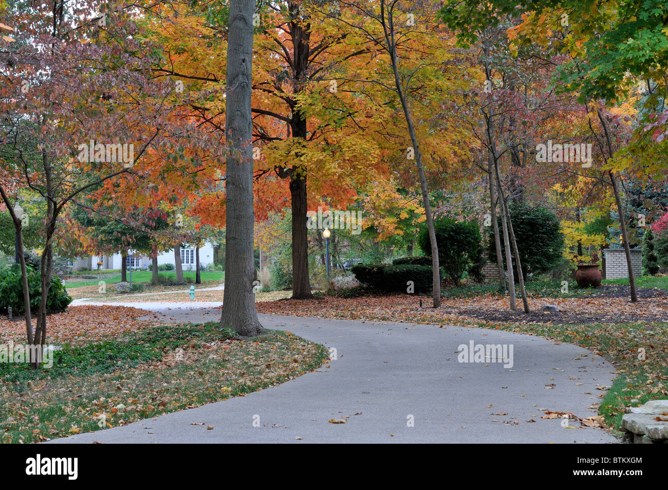Fall scene, fall colors, rural setting, cloudy day, landscape ...