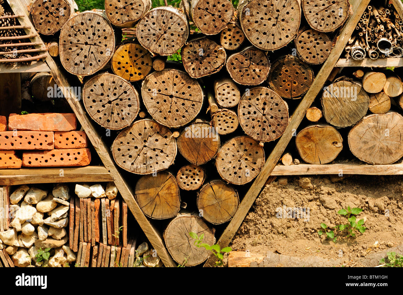 Safe haven for insects hi-res stock photography and images - Alamy