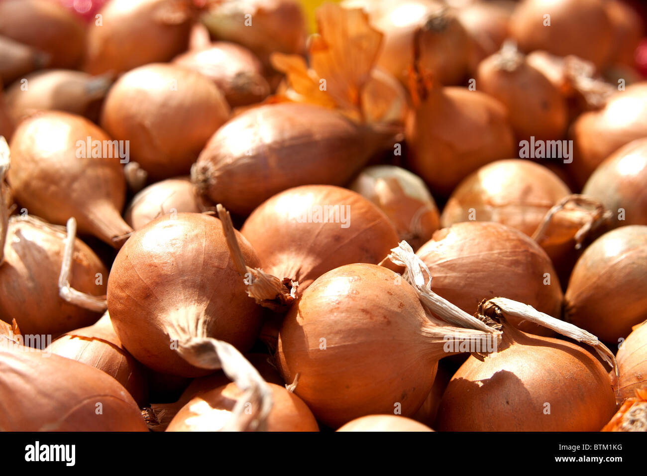 Many onions. Taken at a market place Stock Photo - Alamy